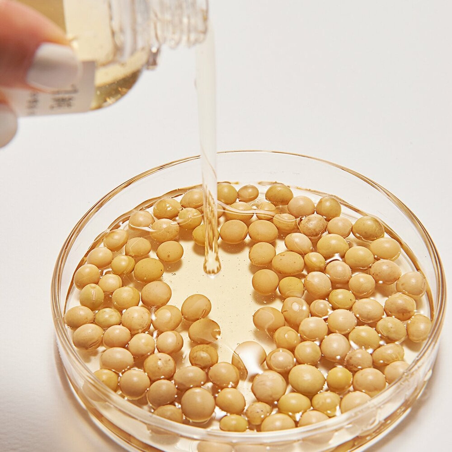 MIXSOON Bean Essence (50ml) | CHERIPAI